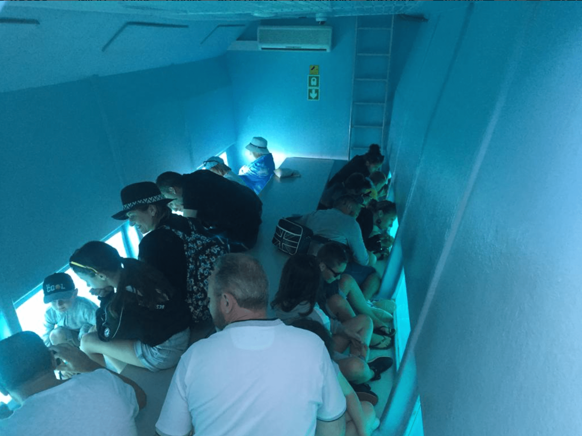 Cala Murtra - Súper Visión Submarina — Els Blaus De Roses